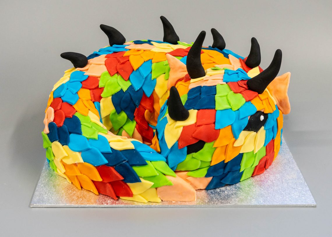 Shaped Novelty Cakes - Regency Cakes